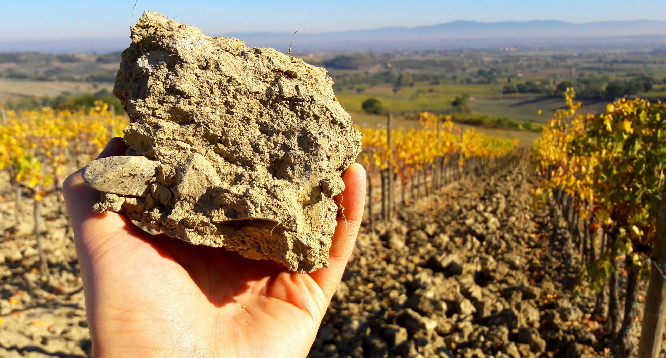 Focus On: A Little Rock Talk - Geeking Out On Soils - Dhall & Nash Fine ...