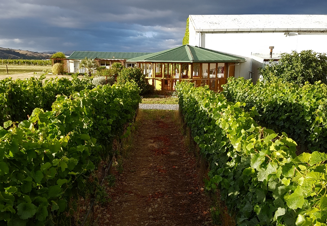 New Release! 2021 Johner Estate Wairarapa Pinot Noir - Dhall & Nash ...